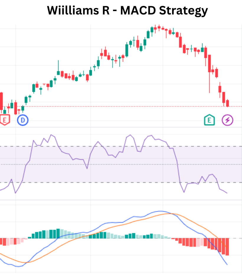 Mastering Trends: Williams R - MACD Strategy | XCalData Blogs